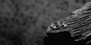 What Is The Difference Between Diamonds And Coal? - Diamond101
